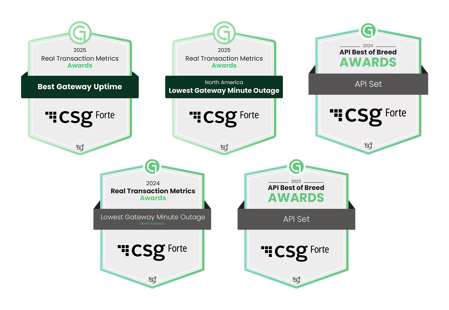 CSG Forte | Complete Payments Solutions for Your Business